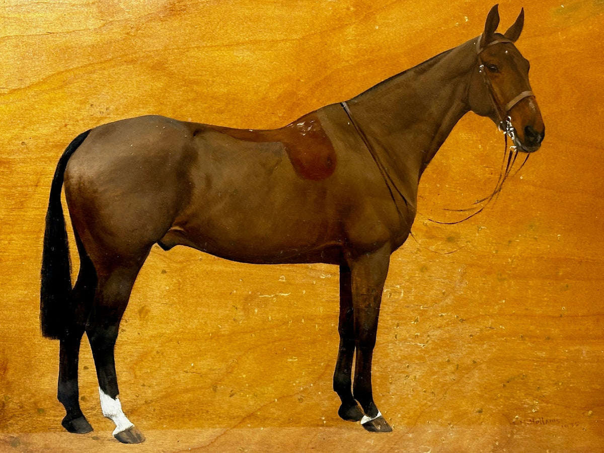 British Oil Painting Portrait Of Kim Mare Bay Hunter Horse Frances Mab