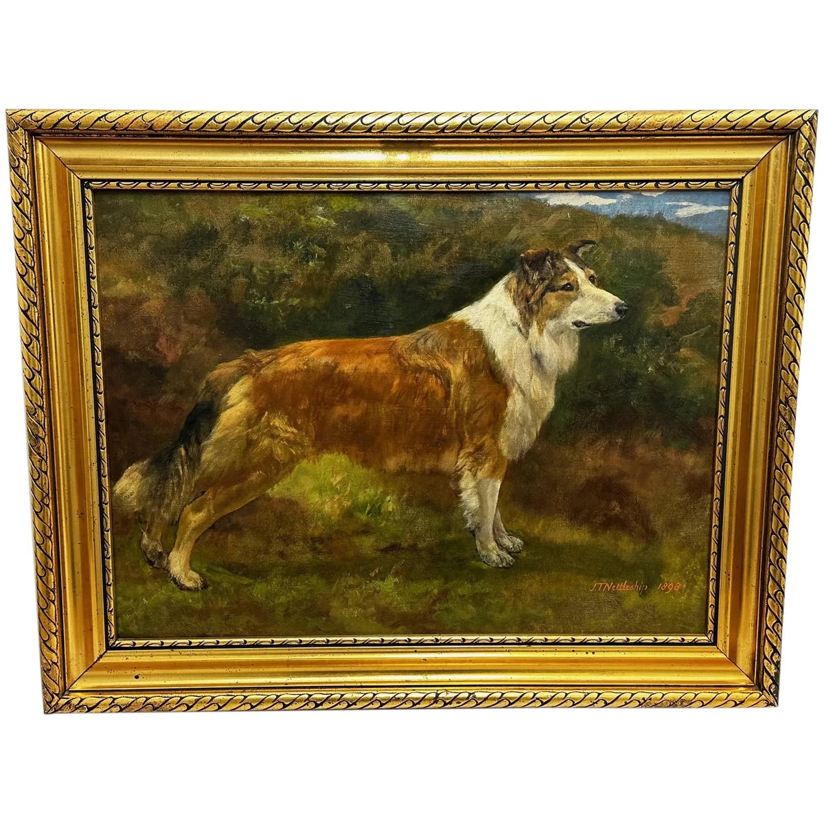 Rough Scottish Collie Dog By John Trivett Nettleship