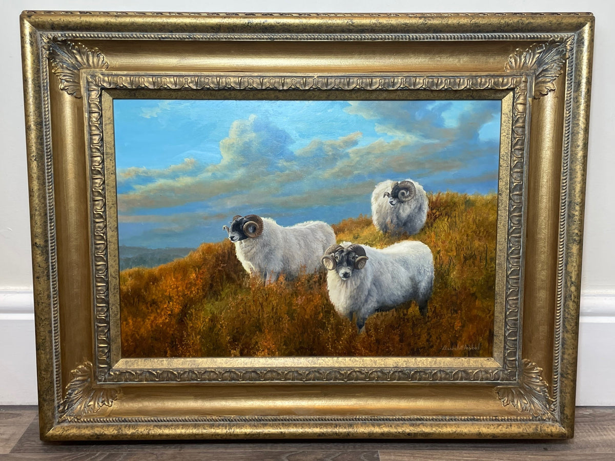 Oil Painting 3 Sheep In Highlands By Elizabeth Halstead