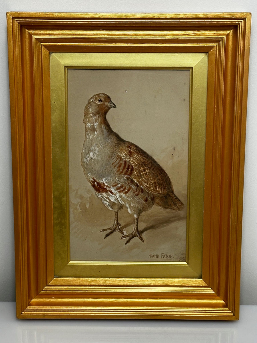 British Victorian Painting Partridge Game Bird Signed by Frank Paton ...