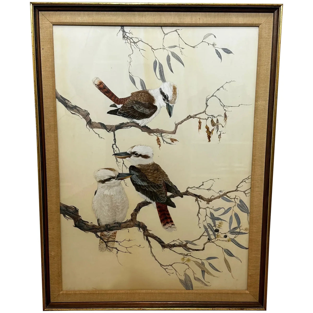 🐦 Rare Australian Wildlife Watercolour Three Kookaburras in the Bush by ...